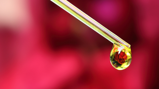 Fuel Analysis | SPECTRO